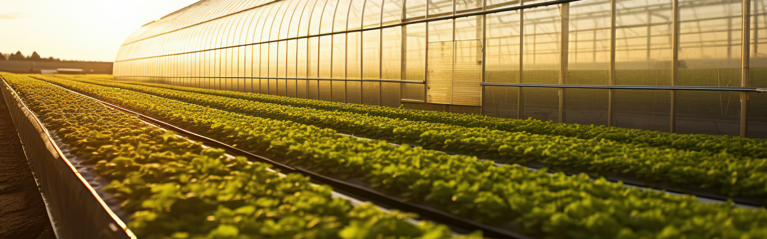 About Us | BioLogical Ag – Biological Ag